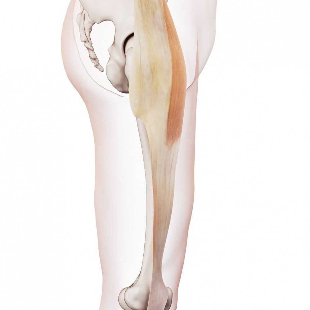 What is the ITB or Iliotibial Band? - Forces of Nature Wellness ...