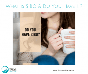 SIBO diet - Treat SIBO Naturally - Toronto Naturopath
